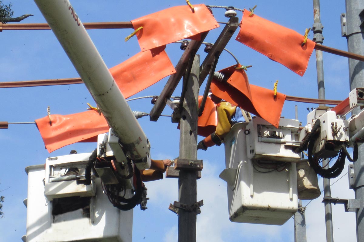 Storm Services Engineering - Storm Restoration